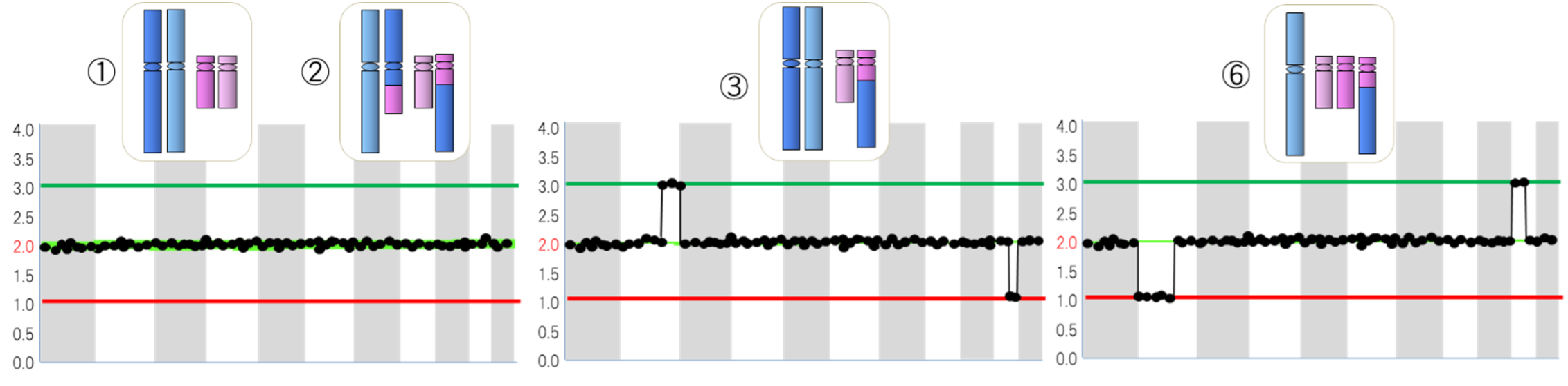 PGT-SR（着床前胚染色体構造異常検査）について | 不妊治療 京野アートクリニック高輪（東京 港区 品川）